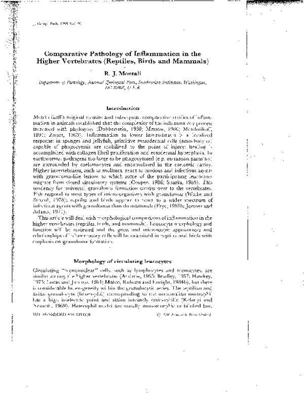 (PDF) Comparative pathology of inflammation in the higher vertebrates ...