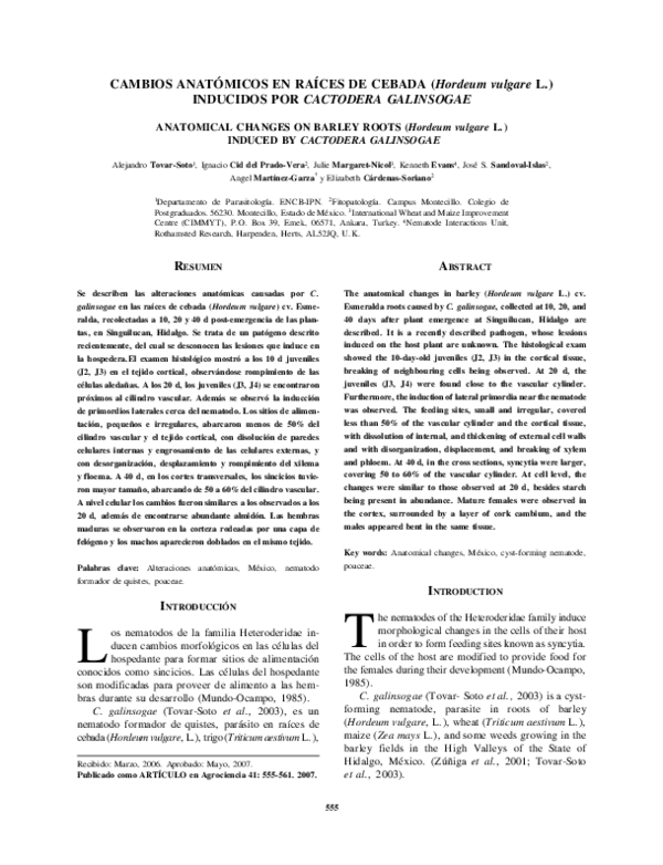 (PDF) Cambios anatómicos en raíces de cebada (hordeum vulgare l ...