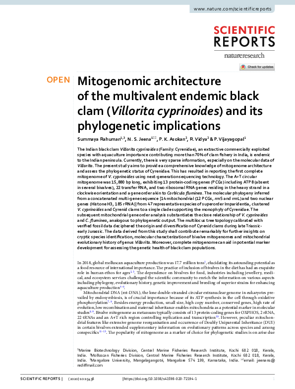 (PDF) Mitogenomic architecture of the multivalent endemic black clam ...