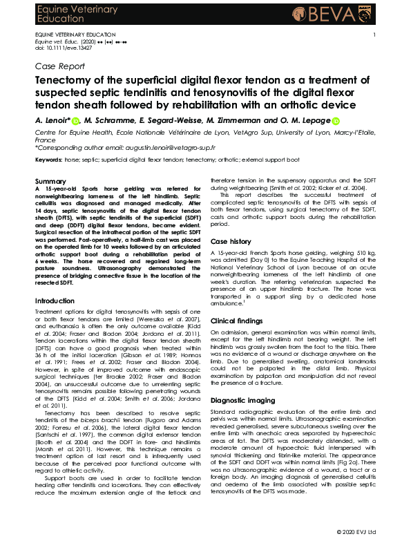 (PDF) Tenectomy of the superficial digital flexor tendon as a treatment ...