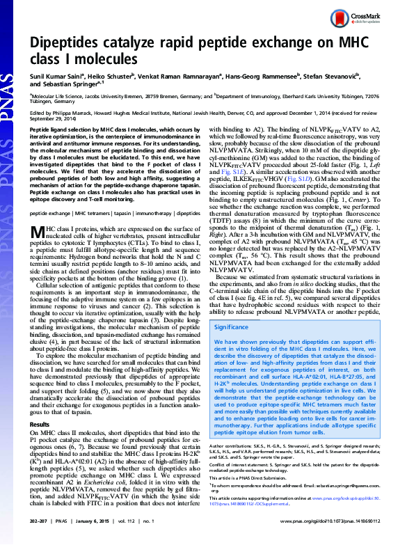 (PDF) Dipeptides catalyze rapid peptide exchange on MHC class I molecules