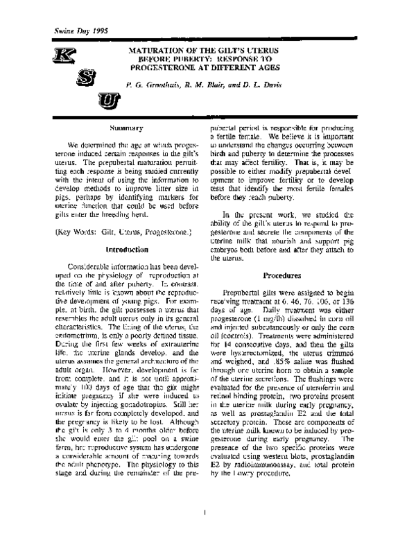 (PDF) Maturation of the gilt's uterus before puberty: response to ...