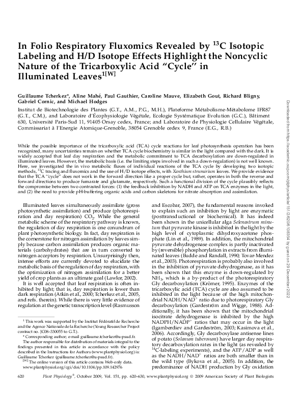 (PDF) In Folio Respiratory Fluxomics Revealed by 13C Isotopic Labeling ...