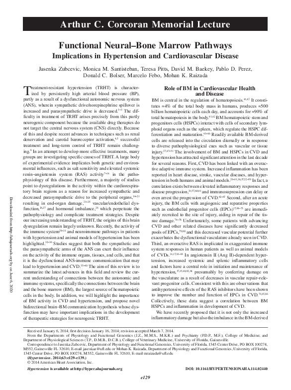 (PDF) Functional Neural–Bone Marrow Pathways