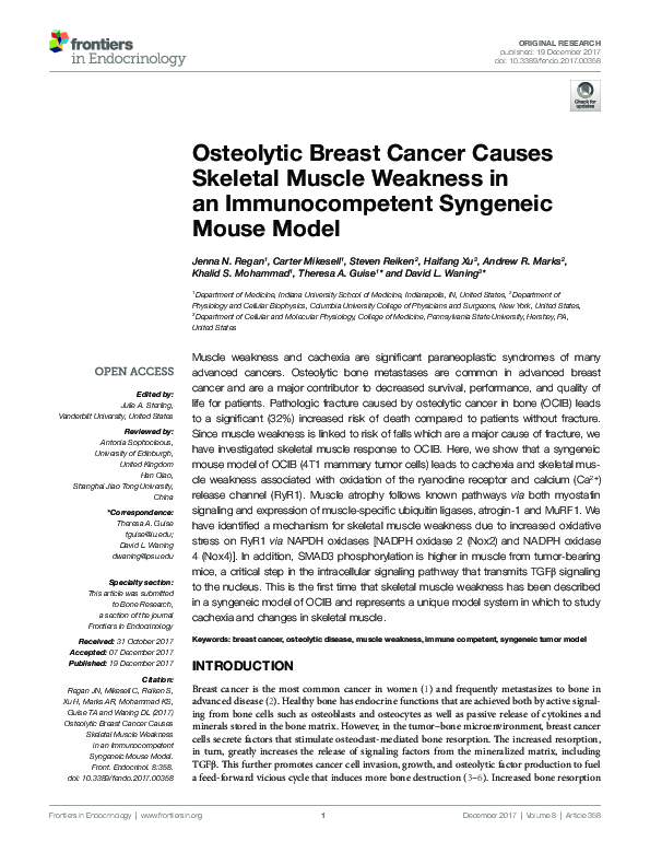 (PDF) Osteolytic Breast Cancer Causes Skeletal Muscle Weakness in an ...