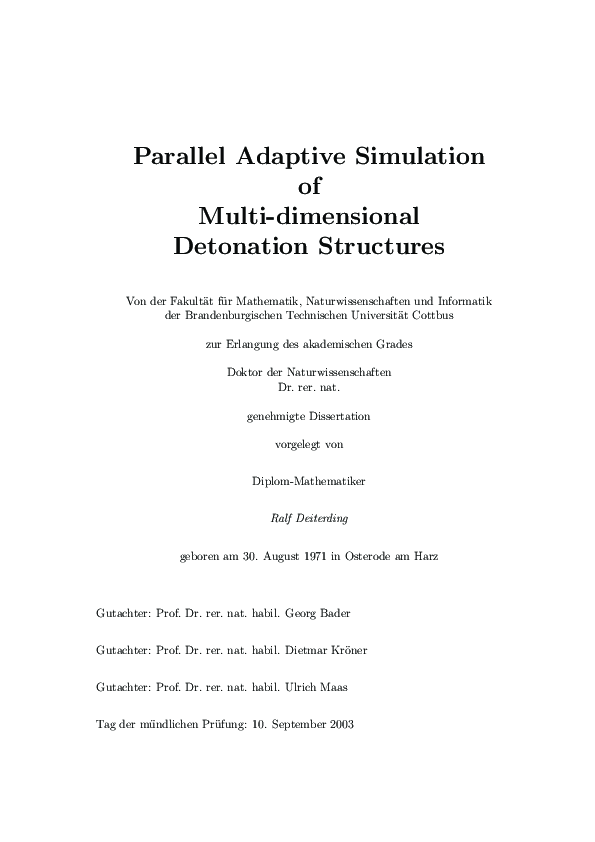 (PDF) Parallel adaptive simulation of multi-dimensional detonation structures