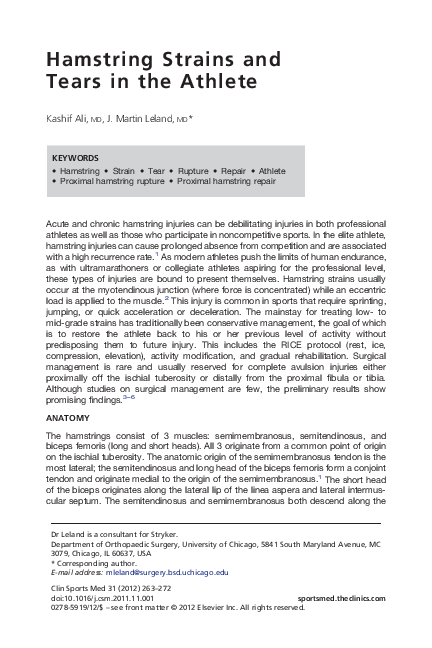 (PDF) Hamstring Strains and Tears in the Athlete
