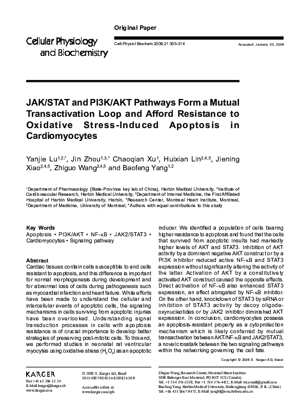 (PDF) JAK/STAT and PI3K/AKT Pathways Form a Mutual Transactivation Loop ...