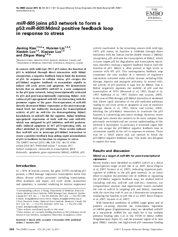 (PDF) miR-605joins p53 network to form a p53:miR-605:Mdm2 positive ...