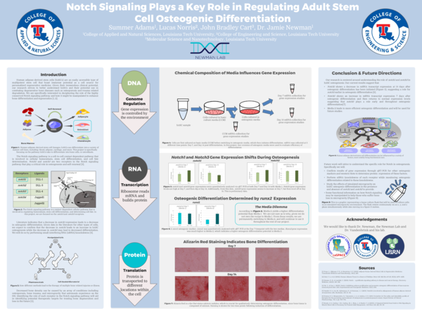 (PDF) 03. Notch Signaling Plays a Key Role in Regulating Adult Stem ...