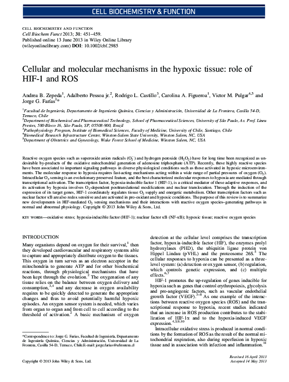 (PDF) Cellular and molecular mechanisms in the hypoxic tissue: role of ...