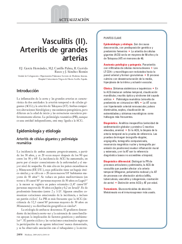 (PDF) Vasculitis (II). Arteritis de grandes arterias