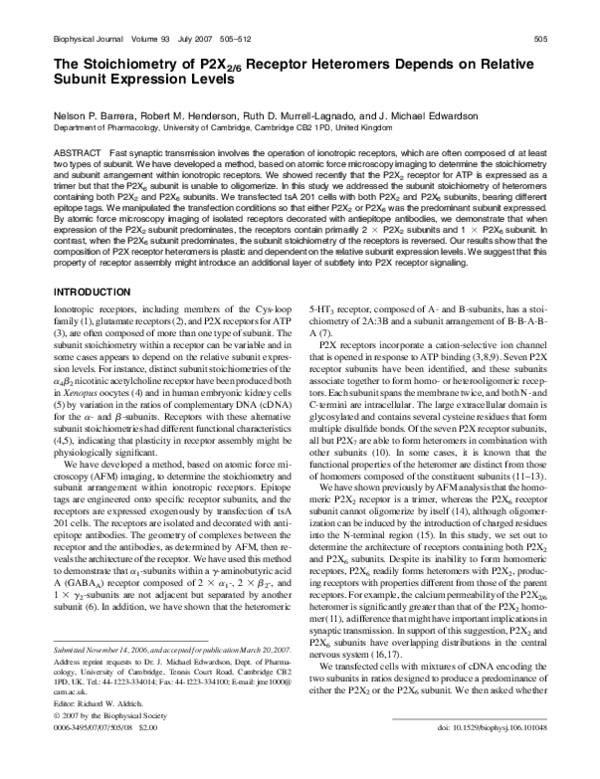 (PDF) The Stoichiometry of P2X2/6 Receptor Heteromers Depends on ...