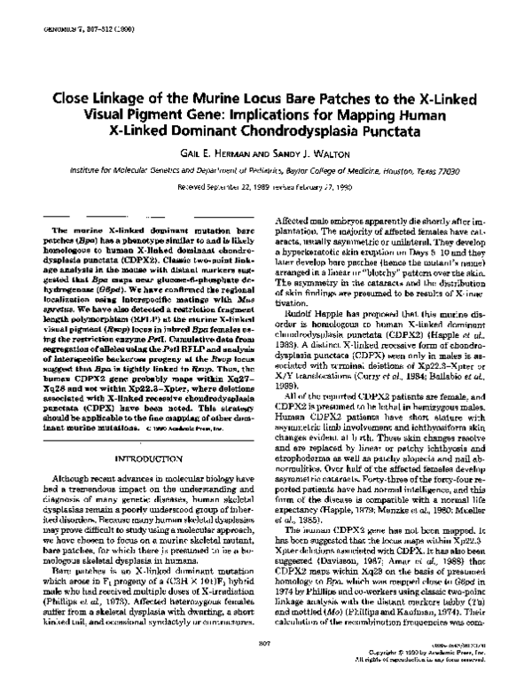 (PDF) Close linkage of the murine locus bare patches to the X-linked ...