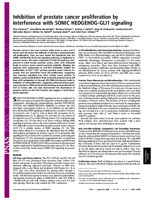 (PDF) Inhibition of prostate cancer proliferation by interference with ...