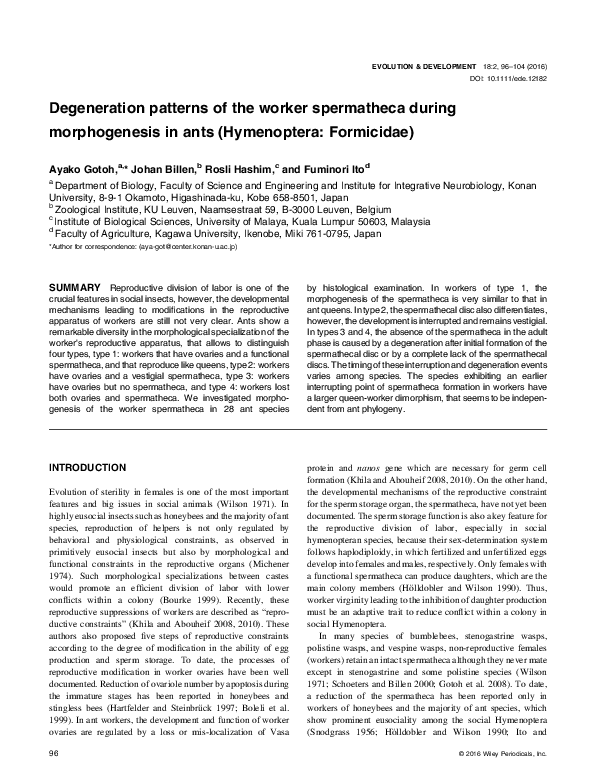 (PDF) Degeneration patterns of the worker spermatheca during ...