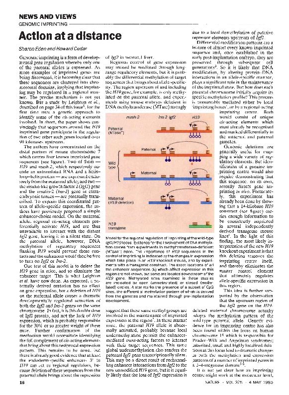 (PDF) Action at a distance