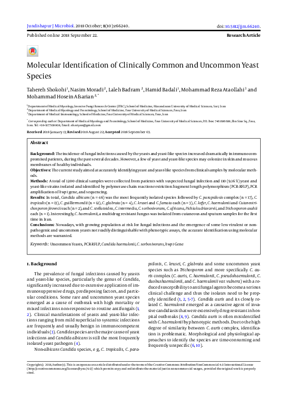 (PDF) Molecular Identification of Clinically Common and Uncommon Yeast ...