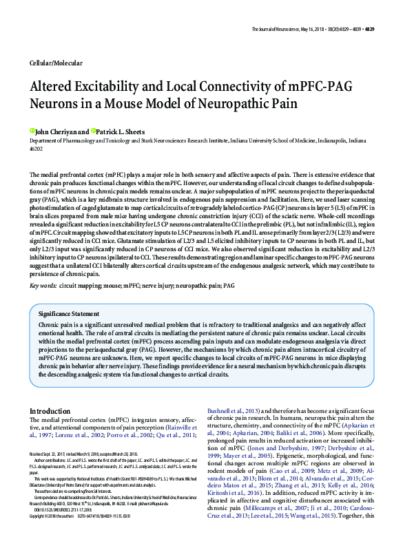 (PDF) Altered Excitability and Local Connectivity of mPFC-PAG Neurons ...