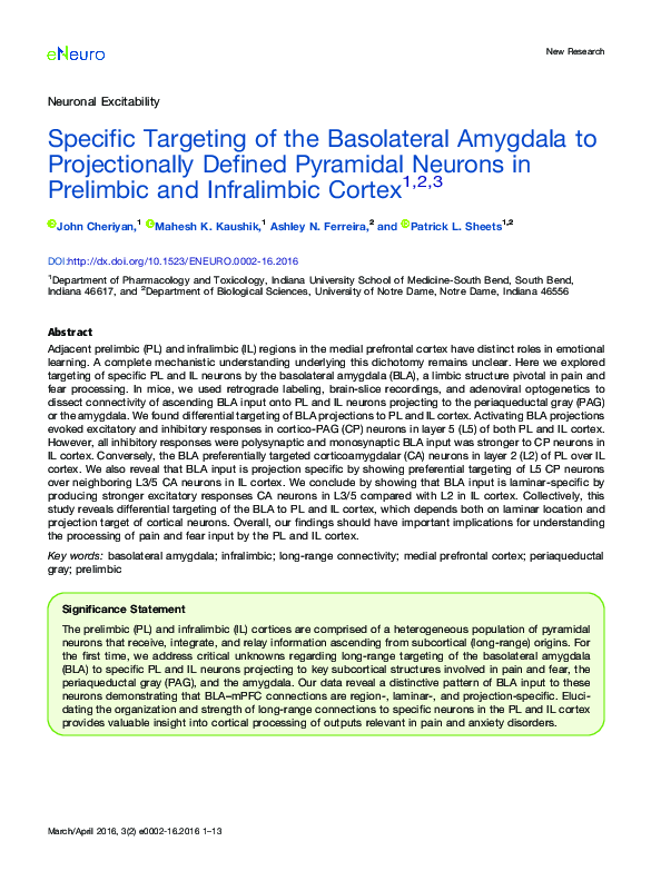 (PDF) Specific Targeting of the Basolateral Amygdala to Projectionally ...