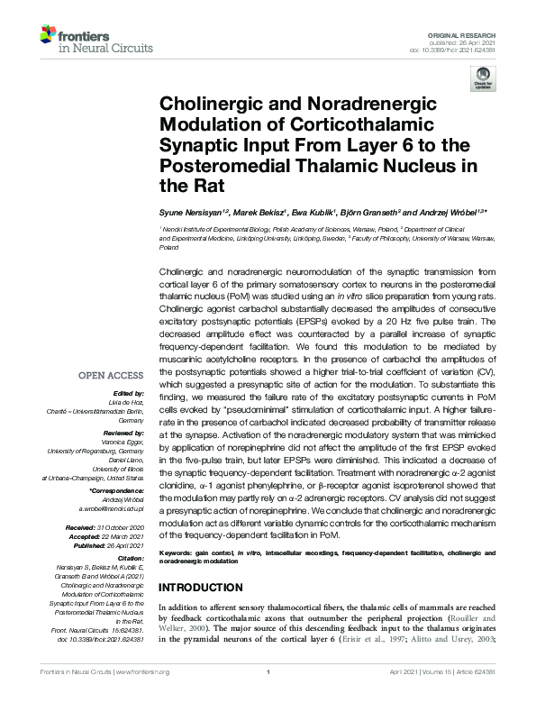 (PDF) Cholinergic and Noradrenergic Modulation of Corticothalamic Synaptic Input From Layer 6 to ...