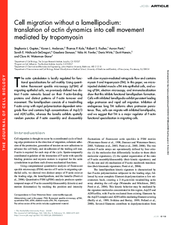 (PDF) Cell migration without a lamellipodium