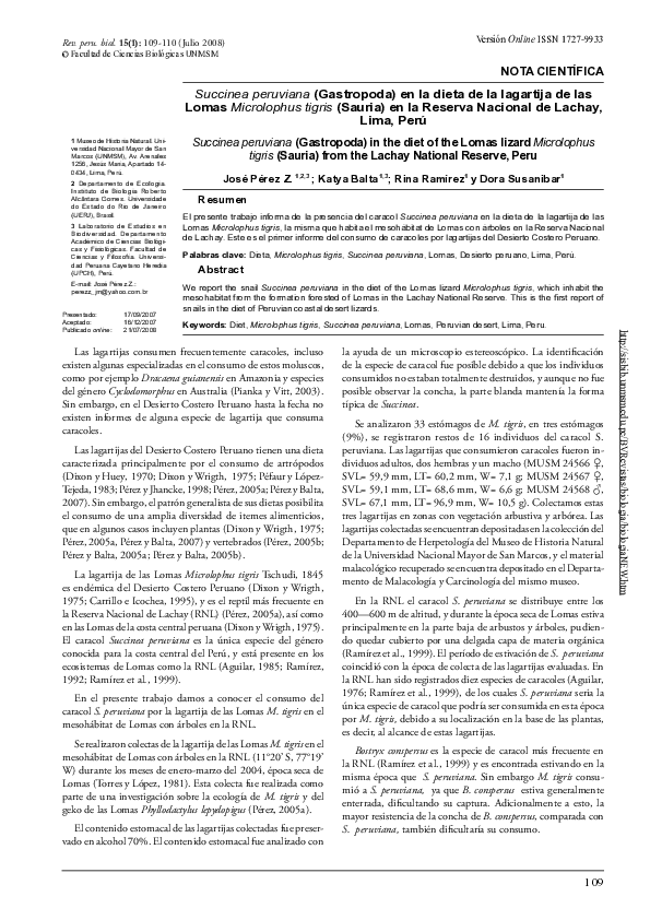 (PDF) Succinea peruviana (Gastropoda) en la dieta de la lagartija de ...