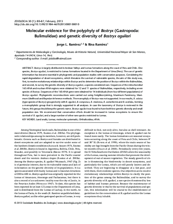 (PDF) Molecular evidence for the polyphyly of Bostryx (Gastropoda: Bulimulidae) and genetic ...
