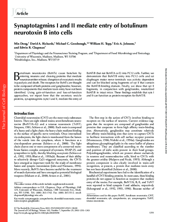 (PDF) Synaptotagmins I and II mediate entry of botulinum neurotoxin B ...