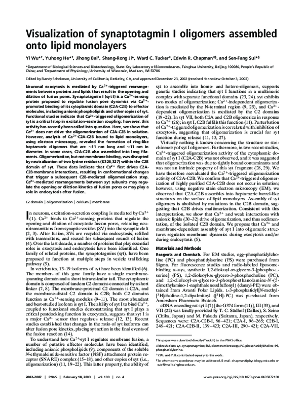(PDF) Visualization of synaptotagmin I oligomers assembled onto lipid ...