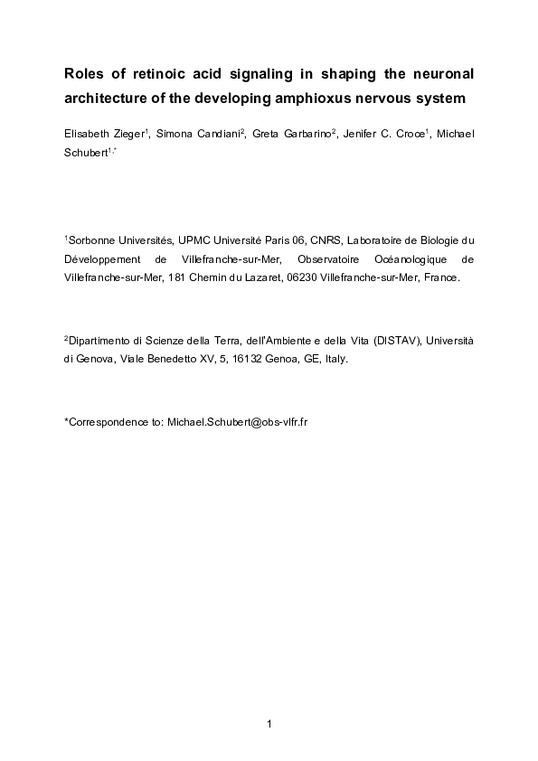 (PDF) Roles of Retinoic Acid Signaling in Shaping the Neuronal Architecture of the Developing ...