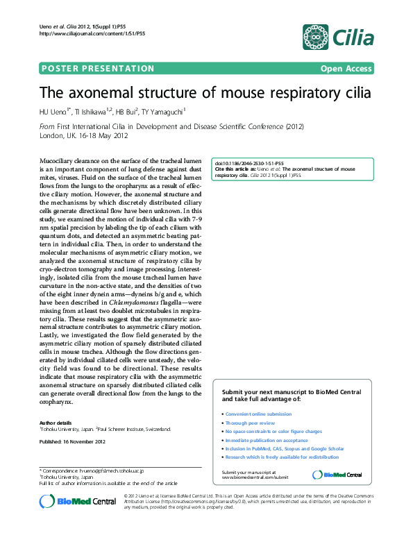 (PDF) The axonemal structure of mouse respiratory cilia
