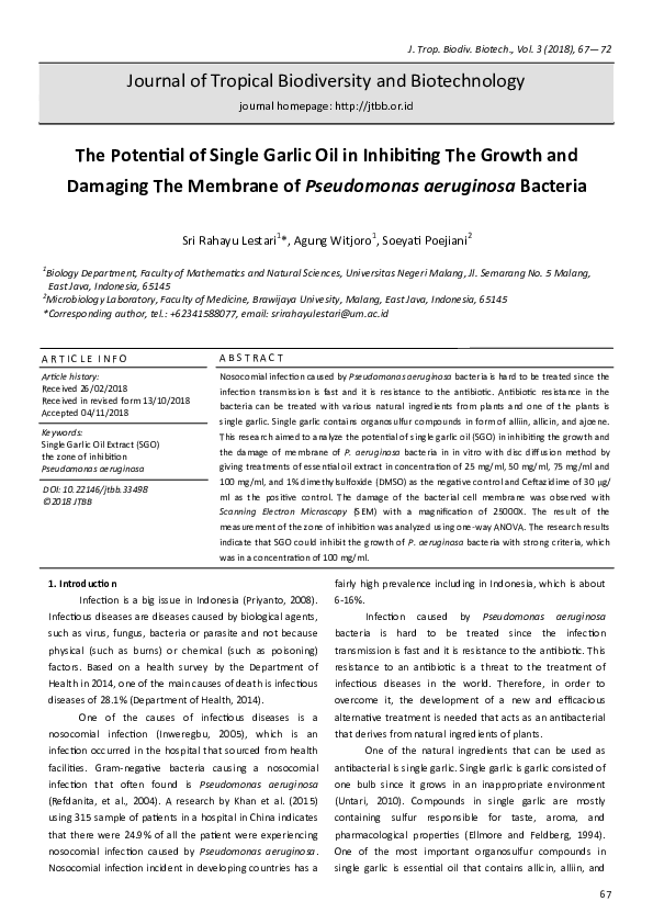 (PDF) The Potential of Single Garlic Oil in Inhibiting The Growth and ...