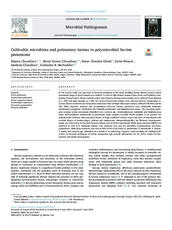 Cultivable microbiota and pulmonary lesions in polymicrobial bovine ...