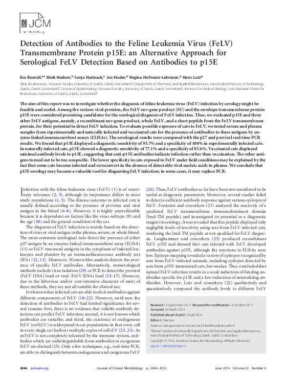 (PDF) Detection of Antibodies to the Feline Leukemia Virus (FeLV ...