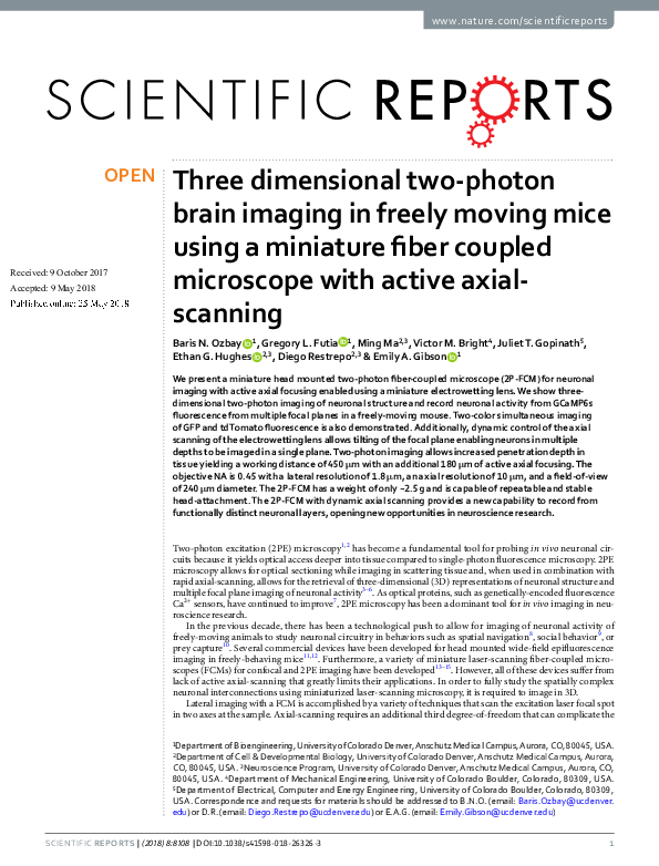 (PDF) Three dimensional two-photon brain imaging in freely moving mice ...