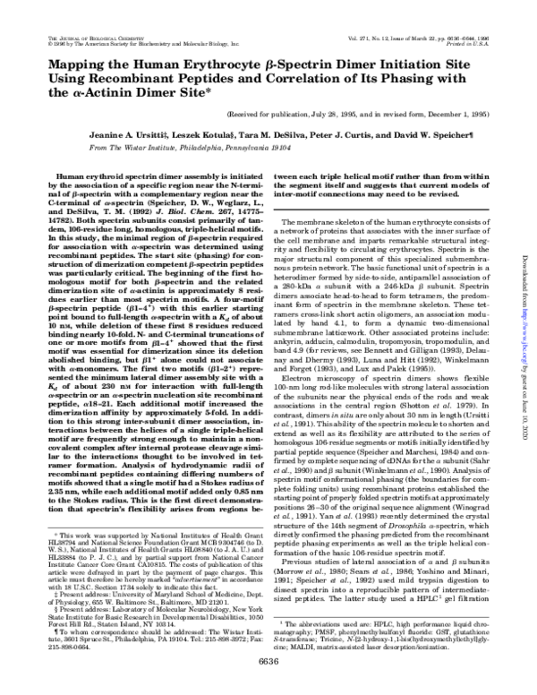 (PDF) Mapping the Human Erythrocyte β-Spectrin Dimer Initiation Site ...