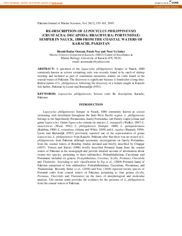 (PDF) Re-description of Lupocyclus philippinensis (Crustacea: Decapoda ...