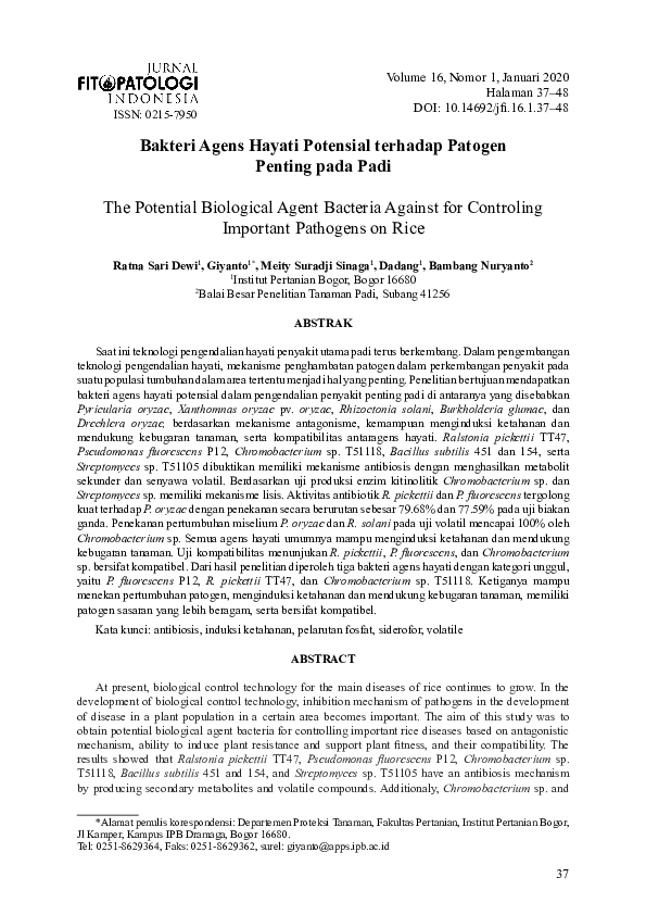 (PDF) Bakteri Agens Hayati Potensial terhadap Patogen Penting pada Padi