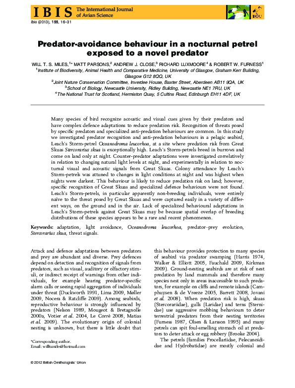 (PDF) Predator‐avoidance behaviour in a nocturnal petrel exposed to a ...