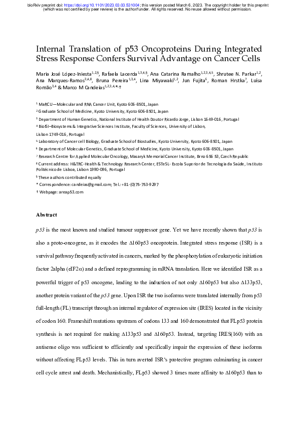 (PDF) Internal Translation of p53 Oncoproteins During Integrated Stress ...