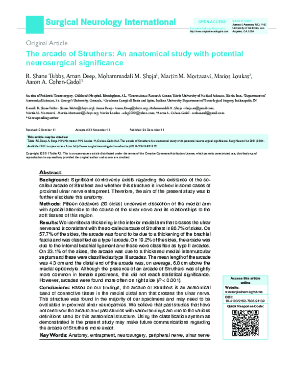 (PDF) The arcade of Struthers: An anatomical study with potential ...
