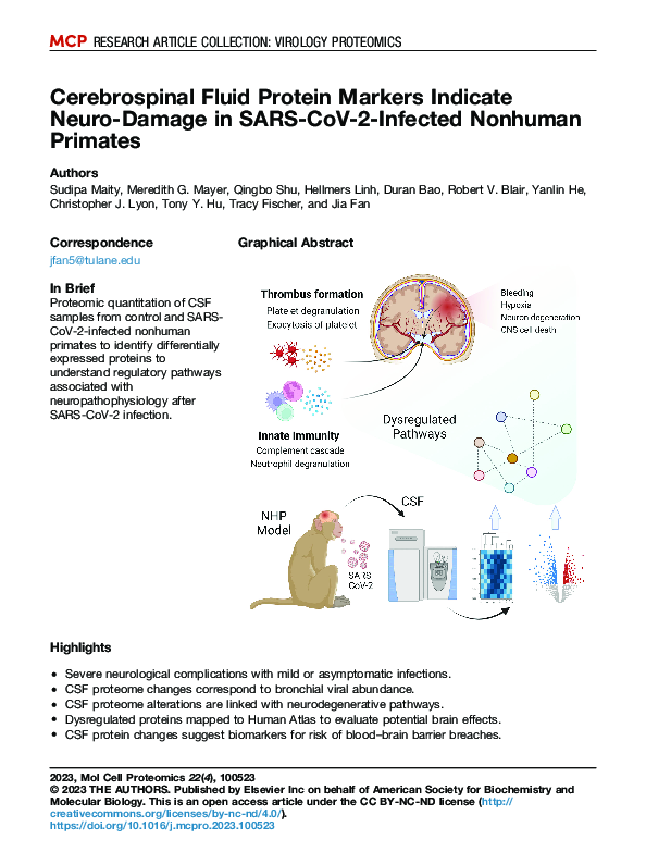 (PDF) Cerebrospinal Fluid Protein Markers Indicate Neuro-Damage in SARS ...