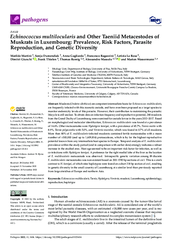(PDF) Echinococcus multilocularis and Other Taeniid Metacestodes of Muskrats in Luxembourg ...
