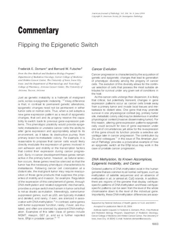 (PDF) Flipping the Epigenetic Switch