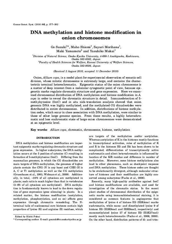(PDF) DNA methylation and histone modification in onion chromosomes