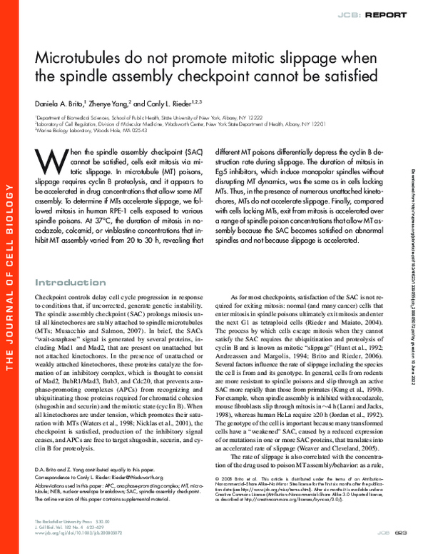 (PDF) Microtubules do not promote mitotic slippage when the spindle ...