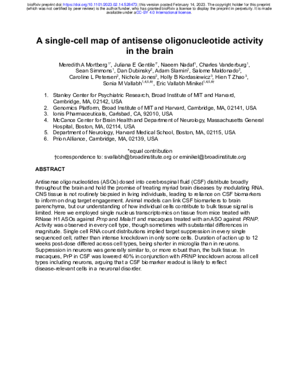 (PDF) A single-cell map of antisense oligonucleotide activity in the brain