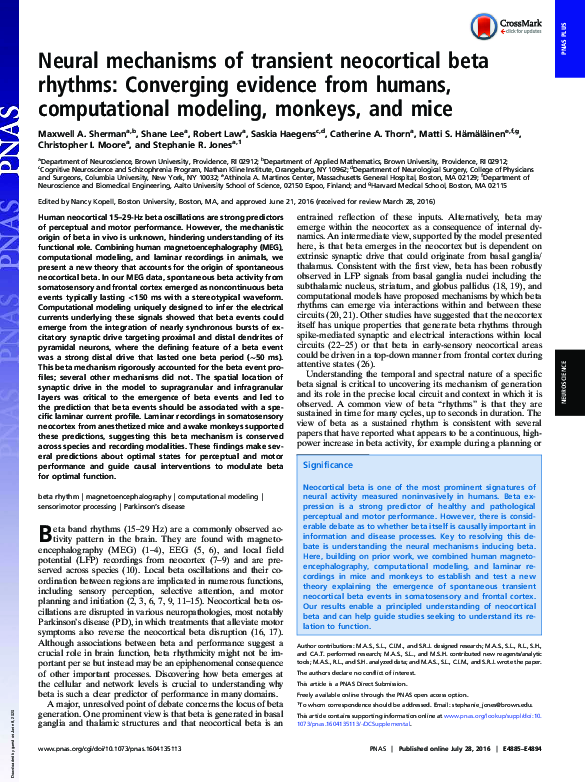 (PDF) Neural mechanisms of transient neocortical beta rhythms: Converging evidence from humans ...