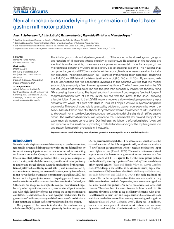 (PDF) Neural mechanisms underlying the generation of the lobster gastric mill motor pattern ...